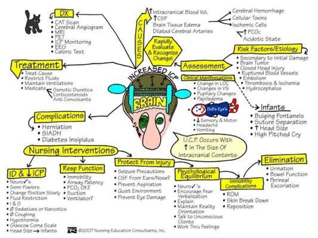 NurseReview.Org - Nursing Management of the Adult Client with ...