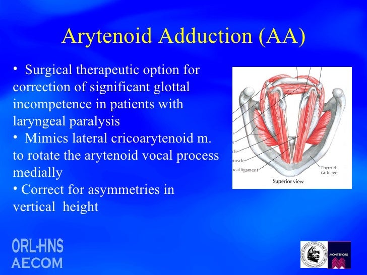 F081 Coclia 75 Phonosurgery