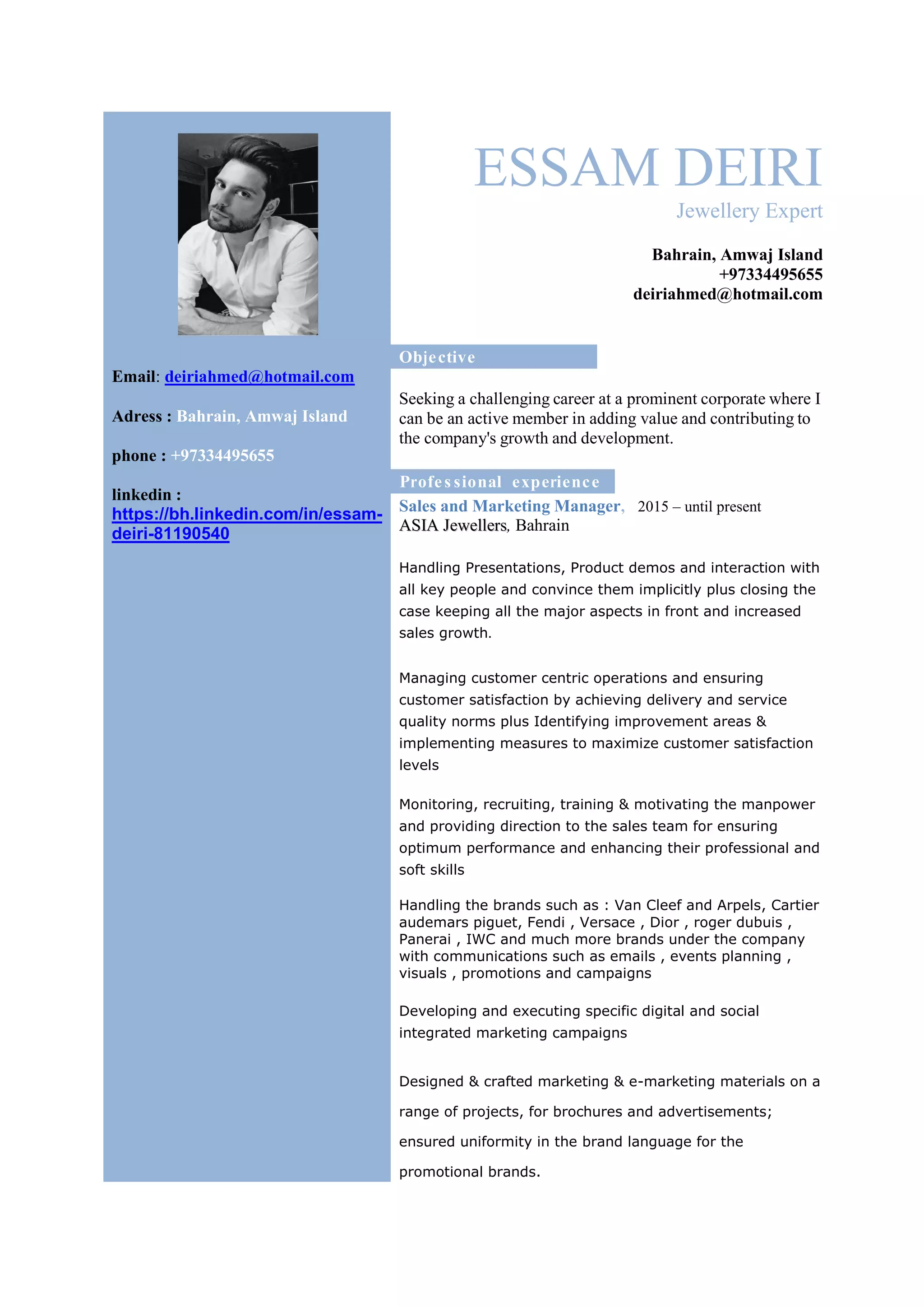 ESSAM CV BLUE11 | PDF