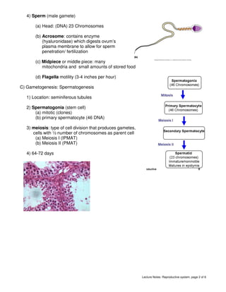F09_LN_ReproSys.pdf