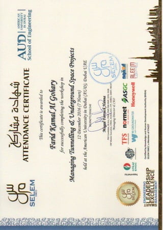 Managing tunnelling & underground space projects certificate | PDF