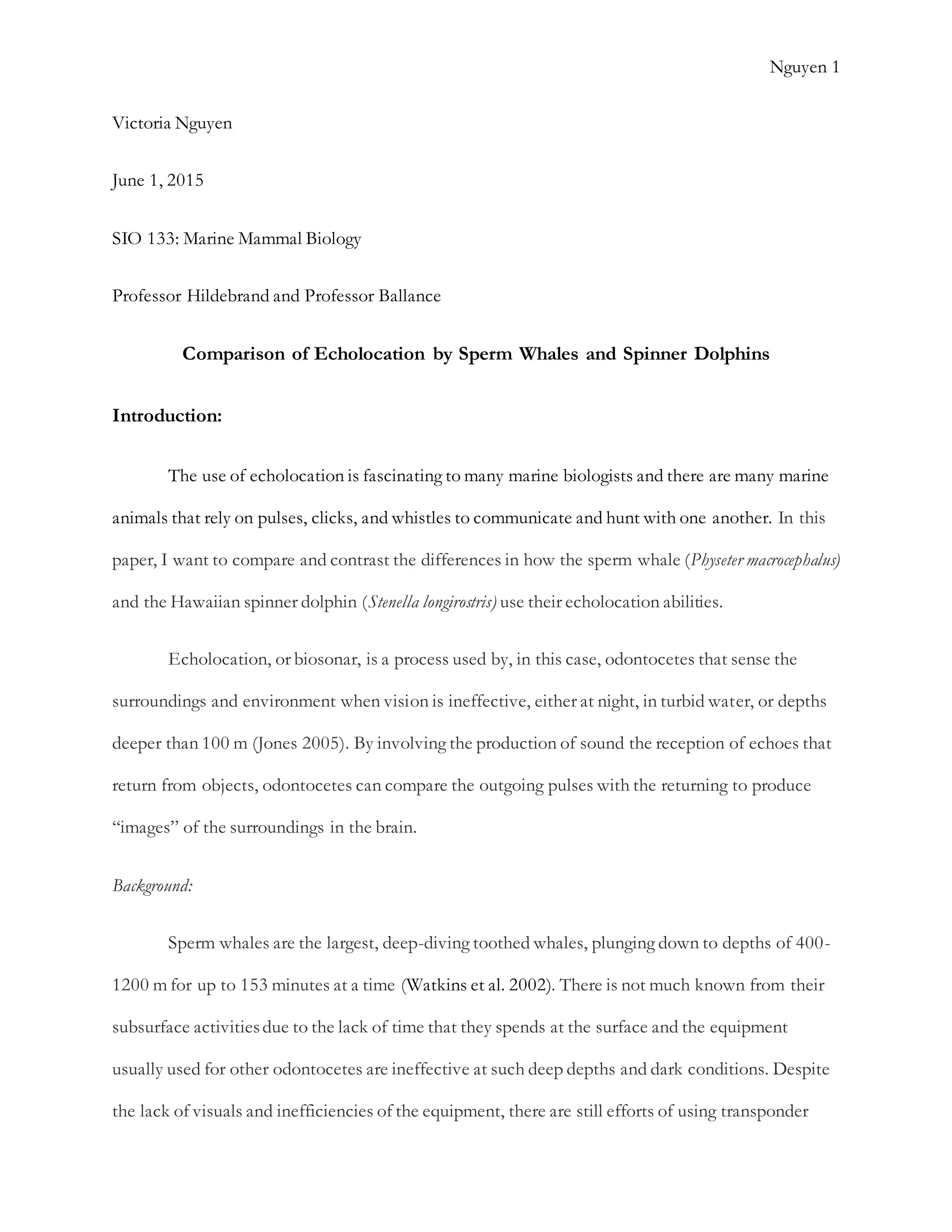 Comparison of Echolocation by Sperm Whales and Spinner Dolphins | PDF