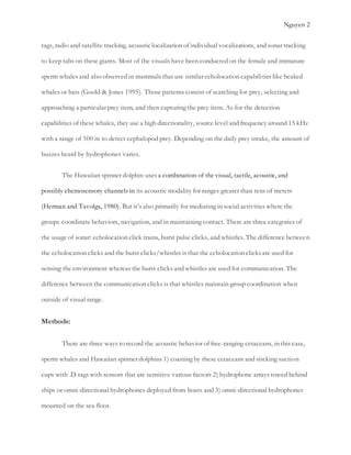 Comparison of Echolocation by Sperm Whales and Spinner Dolphins | DOCX