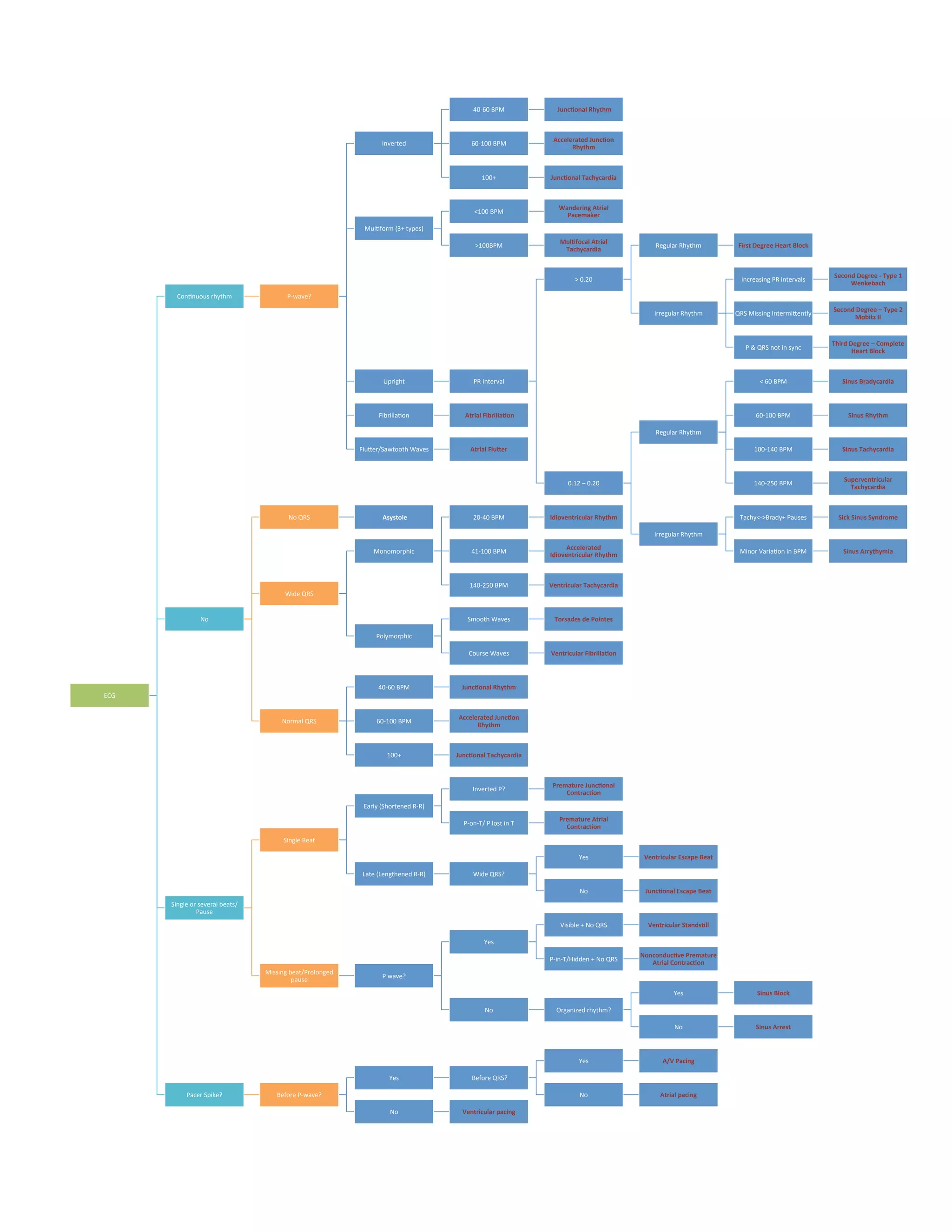 Amber Bryant - ECG Flowchart | PDF