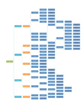 Amber Bryant - ECG Flowchart | PDF