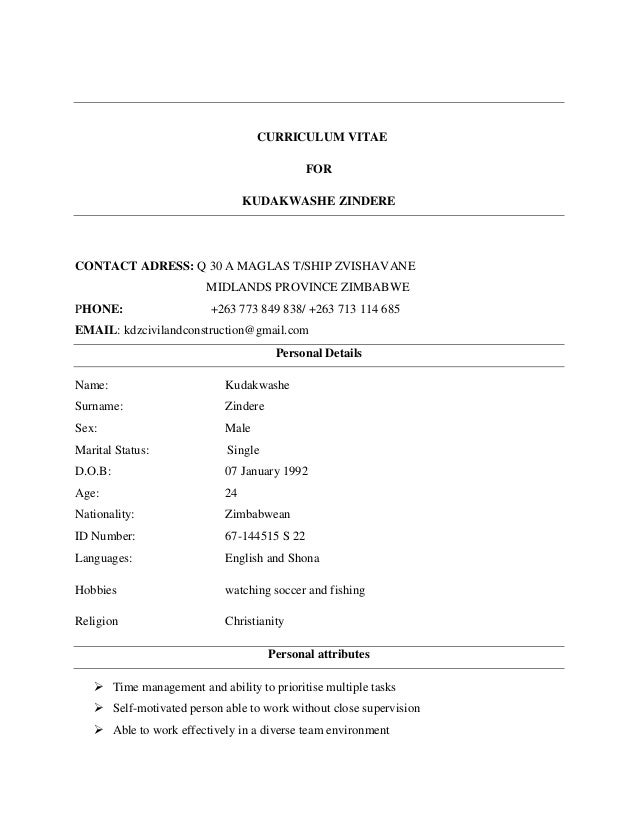 47 Curriculum Vitae Zimbabwe 47-curriculum-vitae-zimbabwe