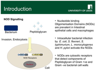 John Short Presentation | PPT