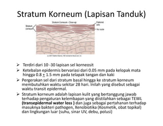 BARRIER FUCTION1 | PDF