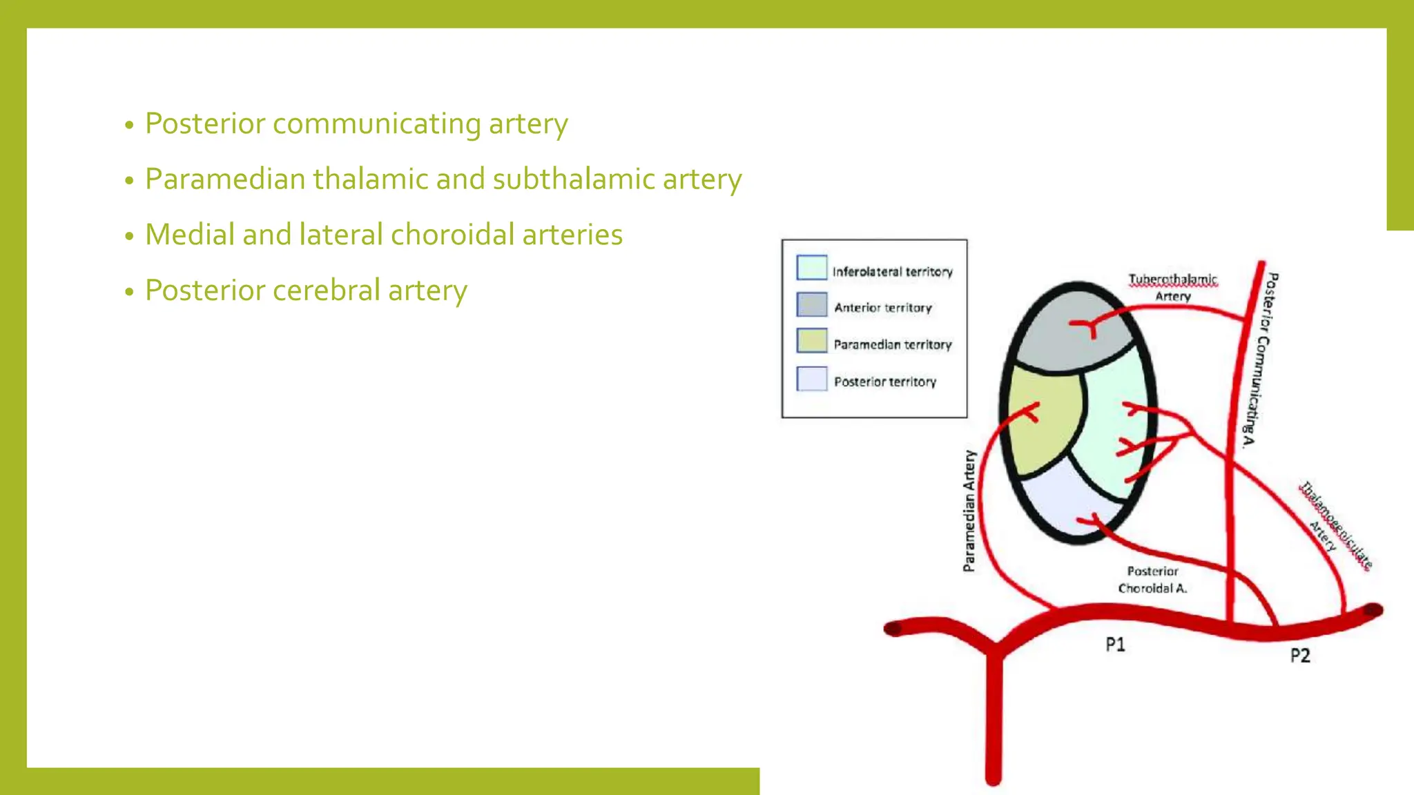 Thalamus and hypothalamus | PPTX