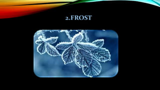 Forms of codensation 3 | PPT