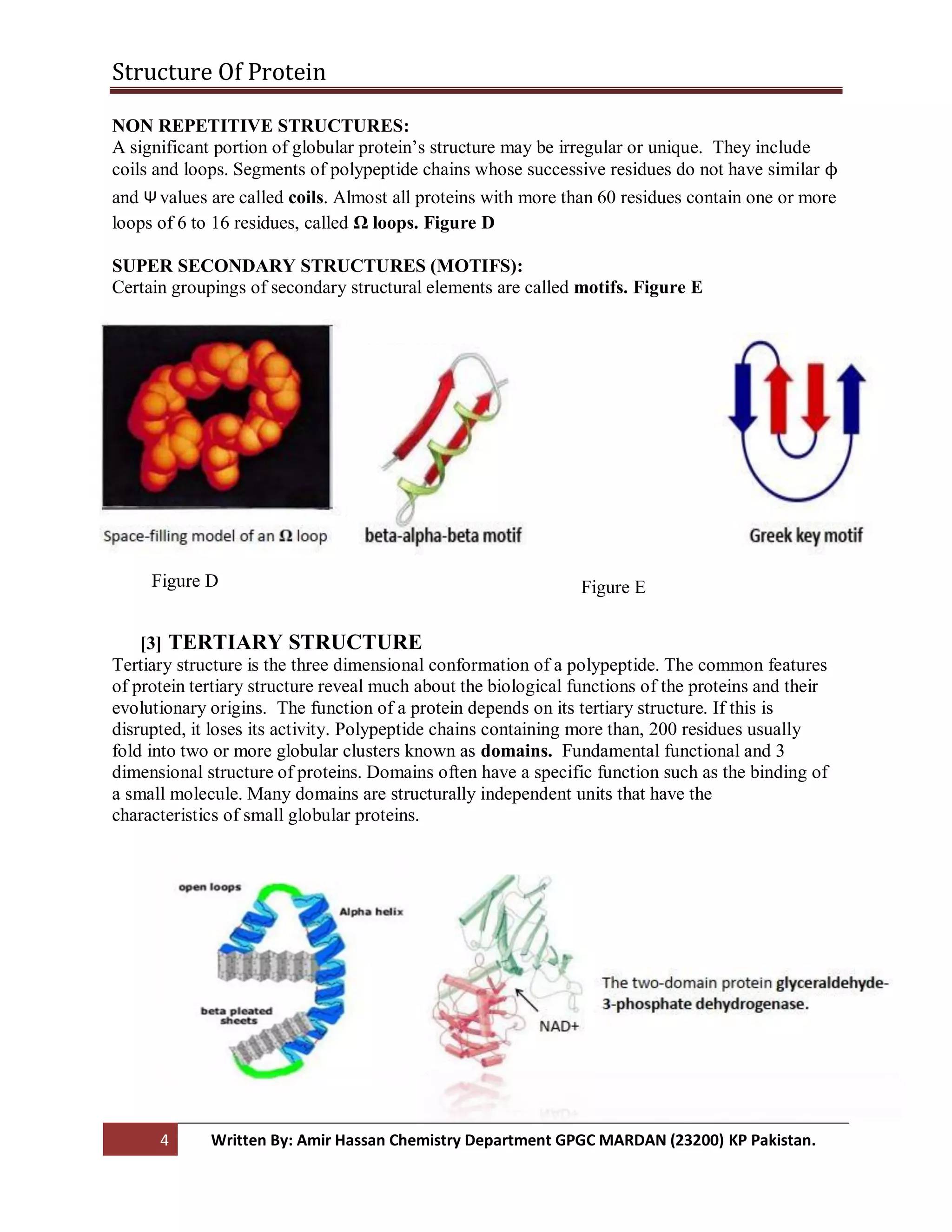 Structure Of Protein | PDF