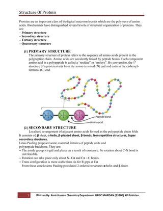 Primary Polypeptide Structure