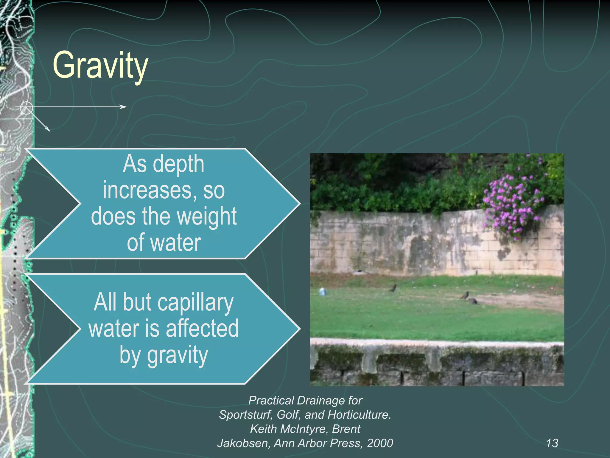 F1 Drainage fundamentals | PPTX