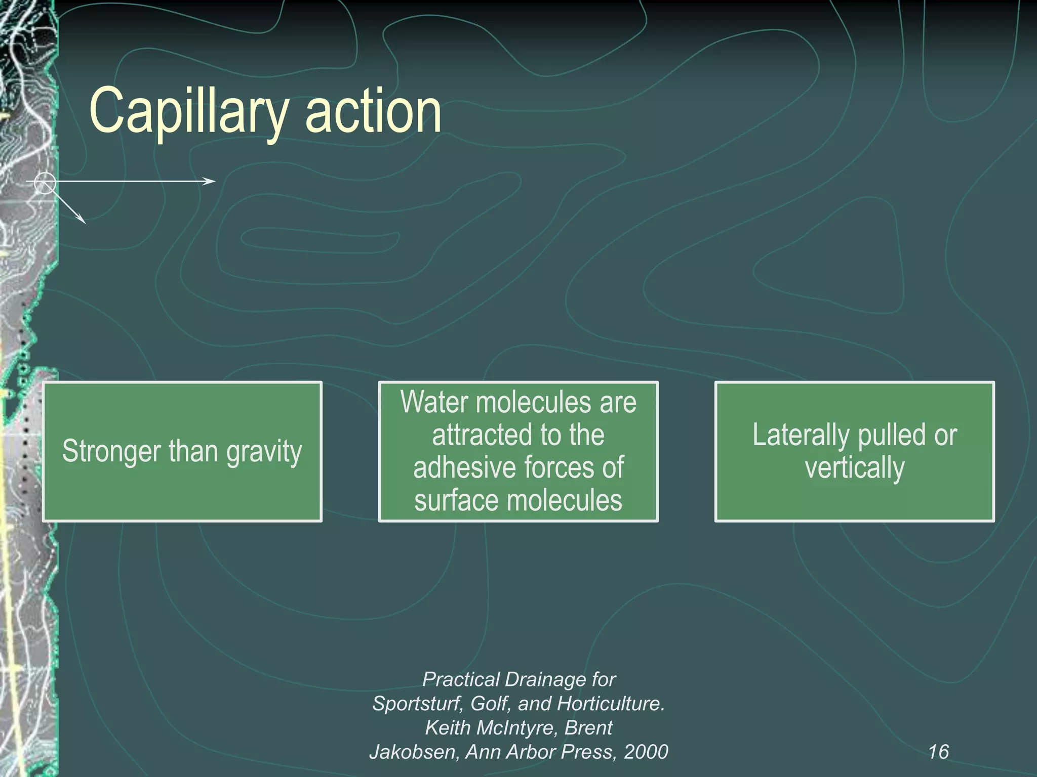 F1 Drainage fundamentals | PPTX