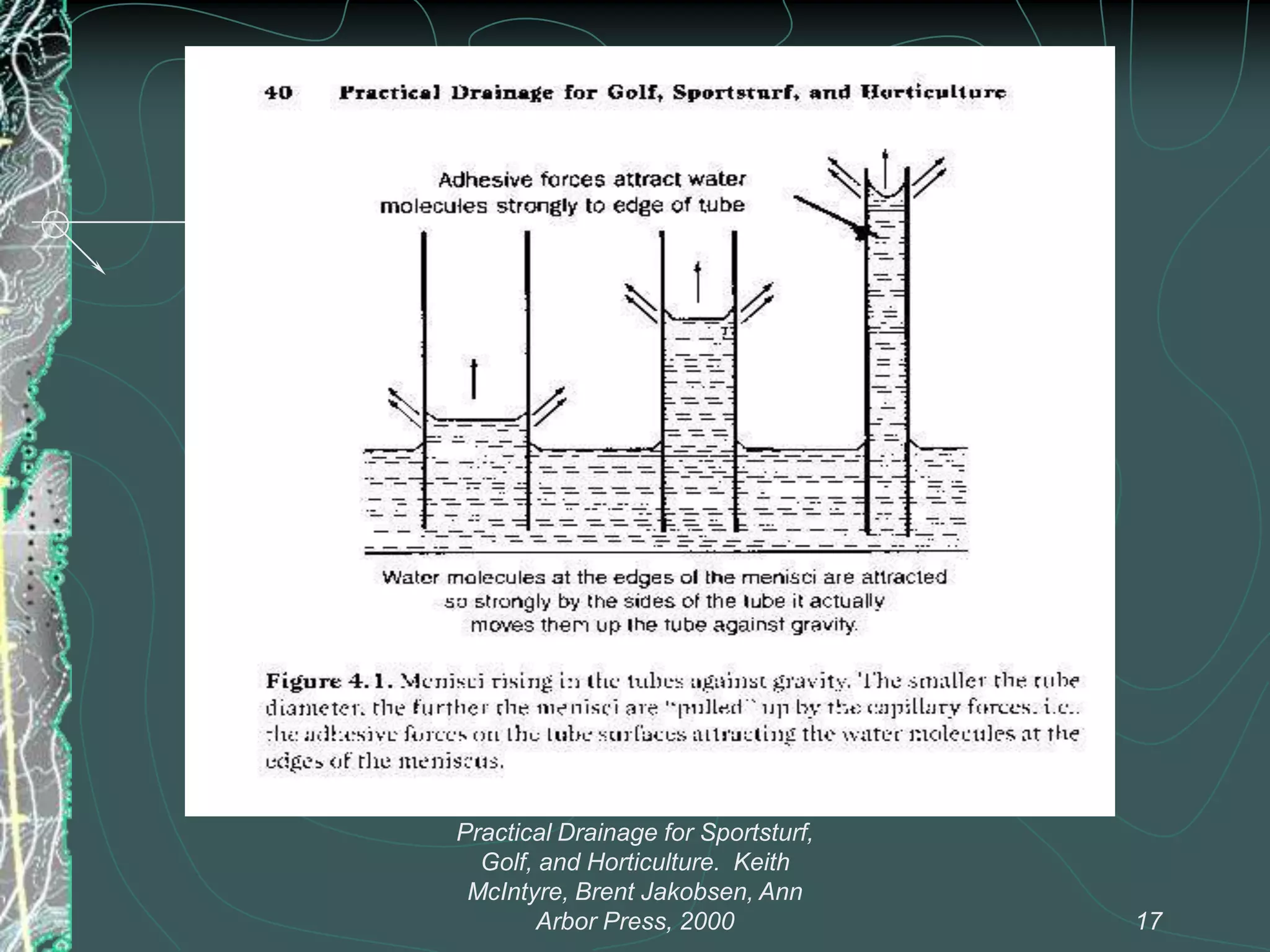 F1 Drainage fundamentals | PPTX
