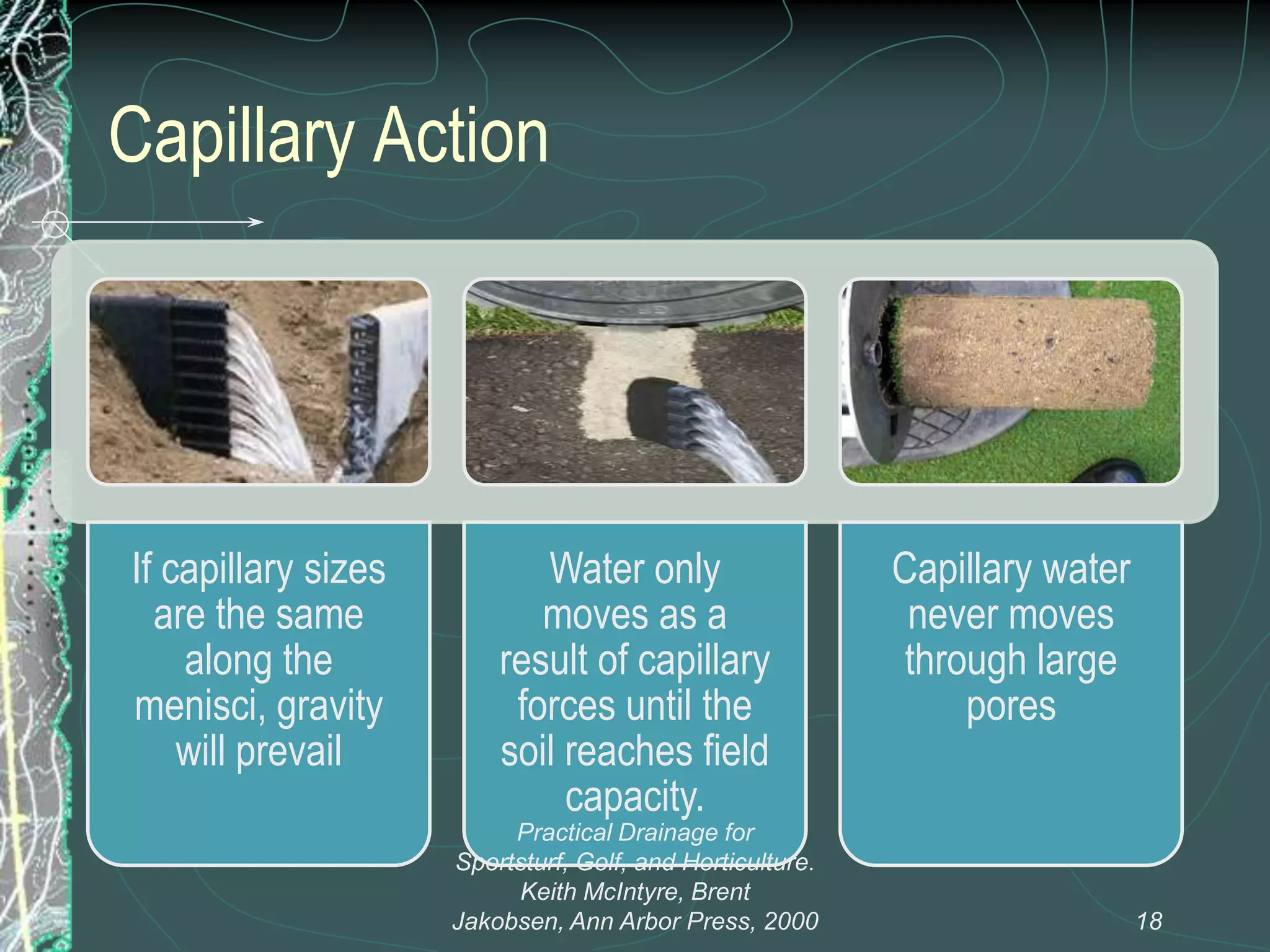 F1 Drainage fundamentals | PPTX