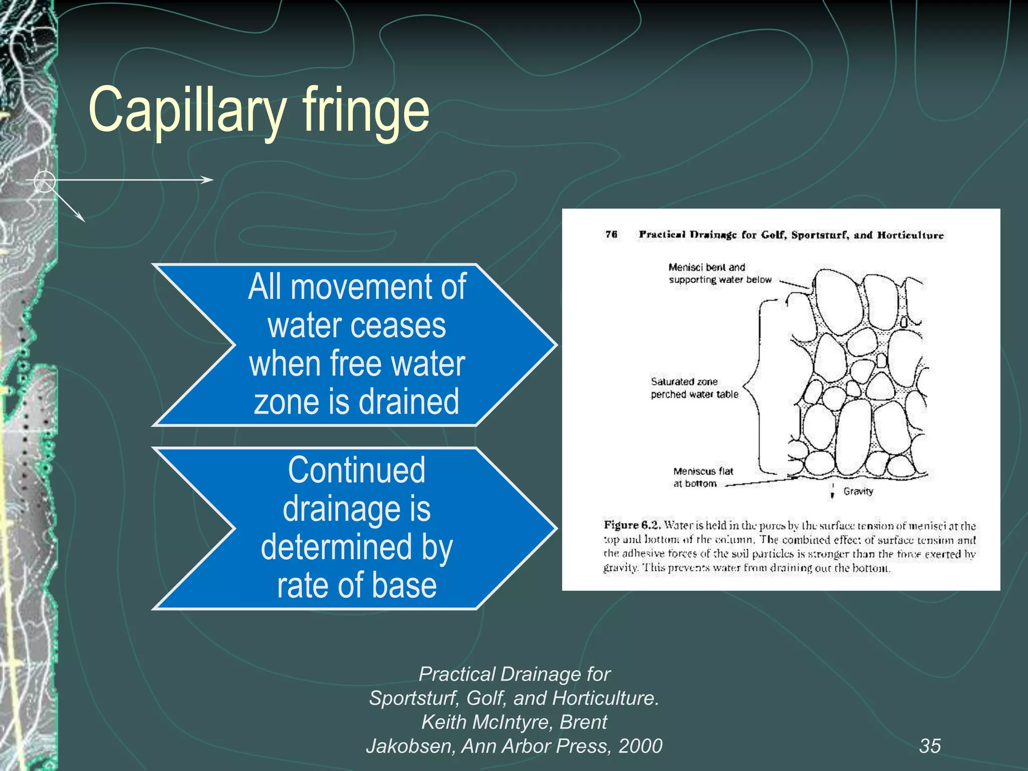 F1 Drainage fundamentals | PPTX