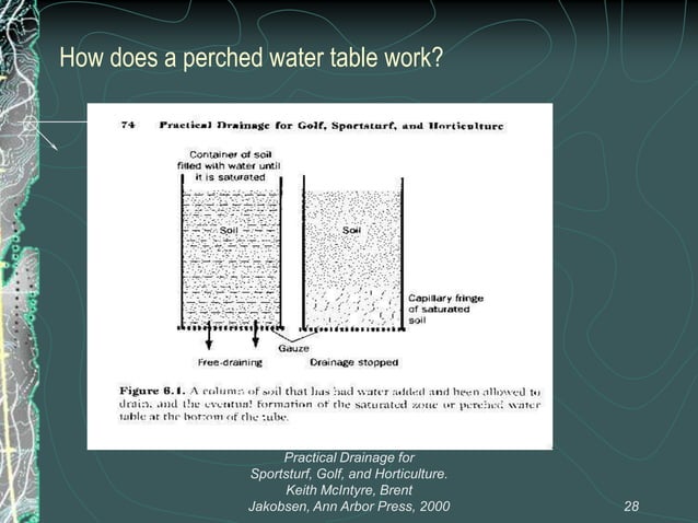 F1 Drainage fundamentals | PPTX
