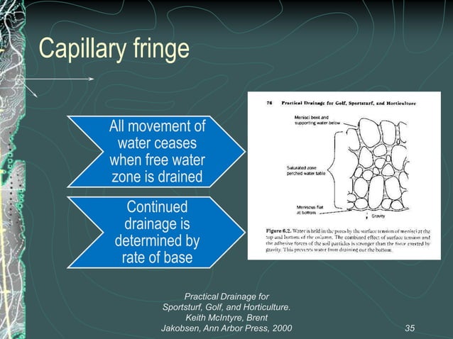 F1 Drainage fundamentals | PPTX