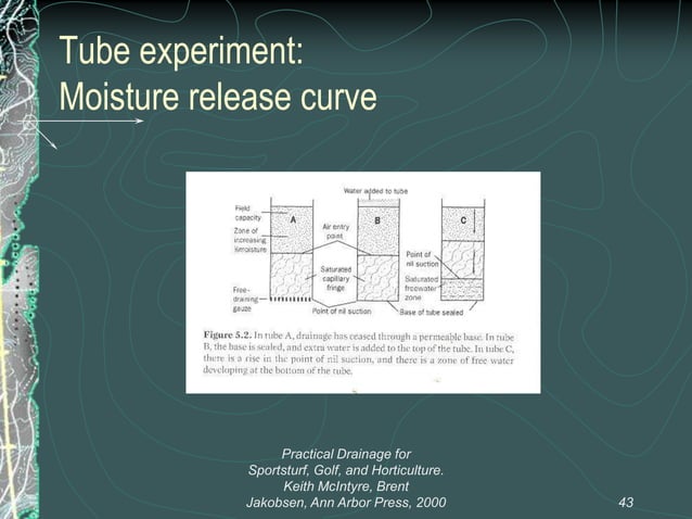 F1 Drainage fundamentals | PPTX