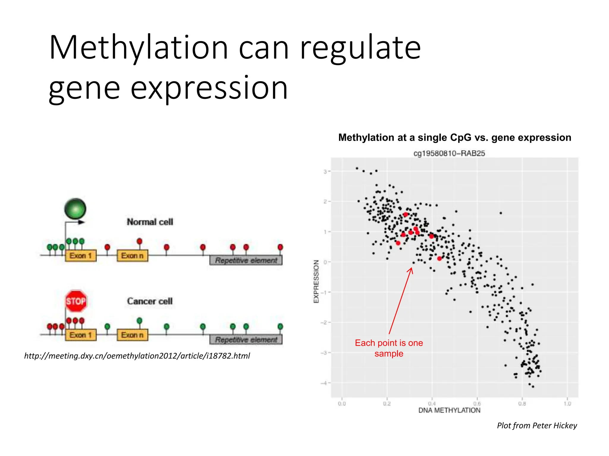 DNA methylation: from array to sequencing | PPTX