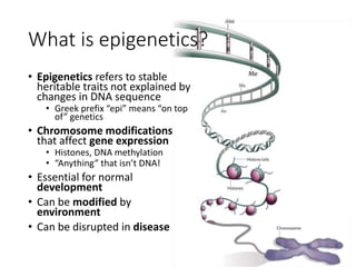 DNA methylation: from array to sequencing | PPTX