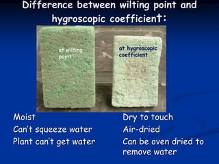 F10 Soil water.ppt