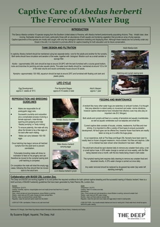 NAW 2010 Abedus herberti poster2013 | PDF