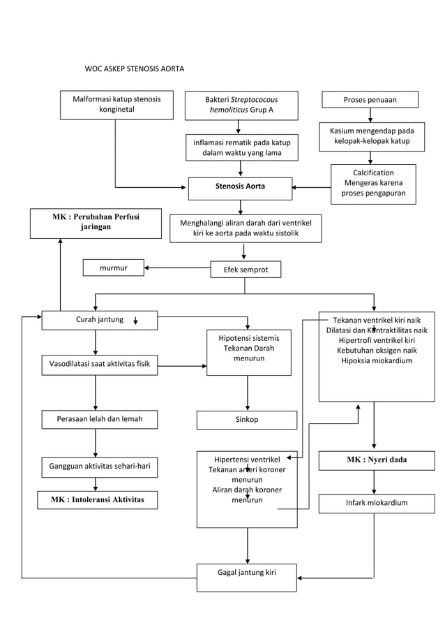 F 13693 woc-askep-stenosis-aorta | DOCX