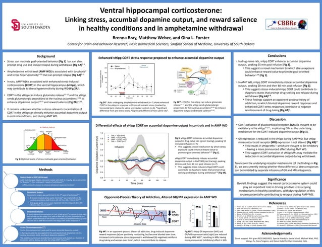 Sanford Symposium 2016 Poster FINAL | PPTX
