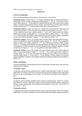 15 Terminalia_pollen | PDF