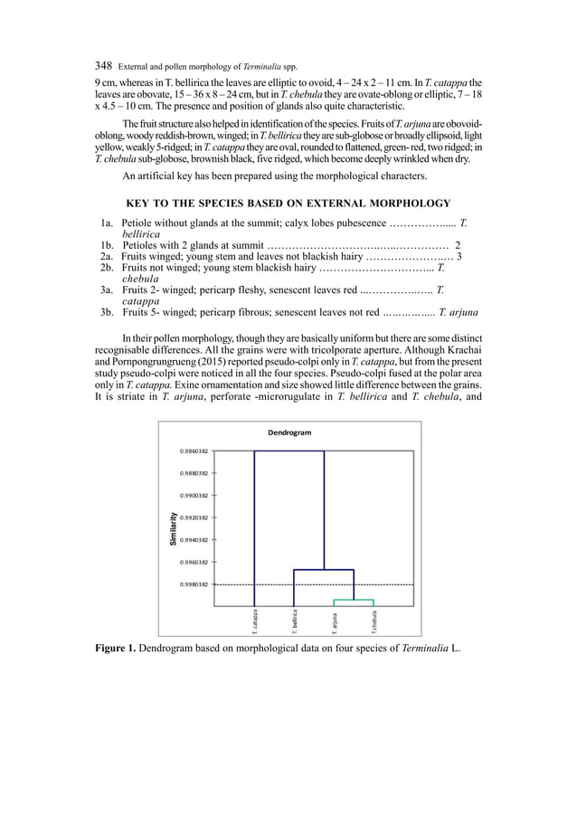 15 Terminalia_pollen | PDF