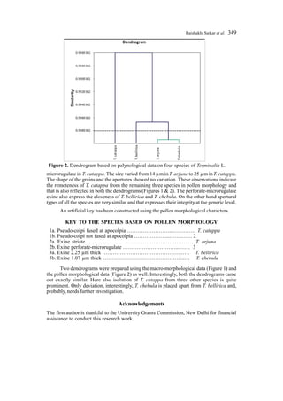 15 Terminalia_pollen | PDF