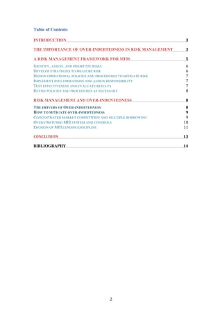 Over-indebtedness | PDF