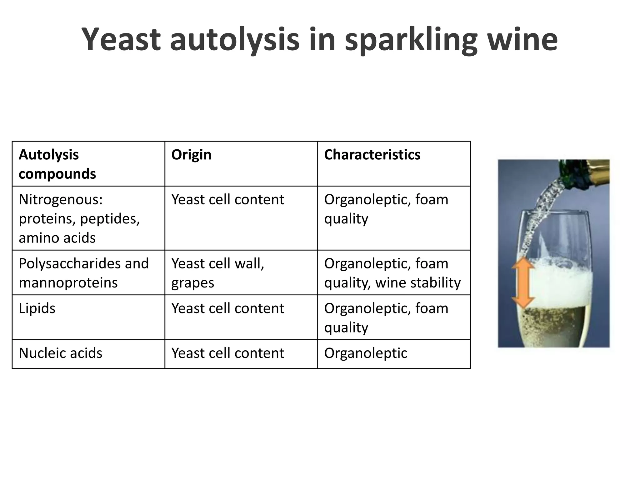 F15 Industrial Mycology | PPTX