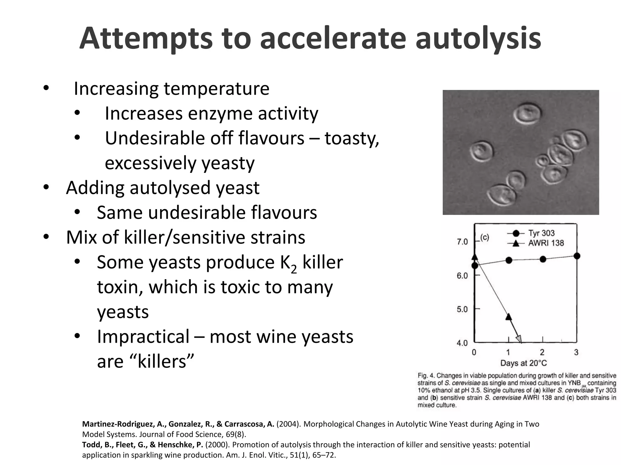 F15 Industrial Mycology | PPTX