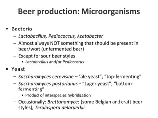 F15 Industrial Mycology | PPTX