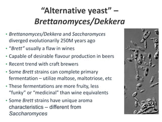 F15 Industrial Mycology | PPT