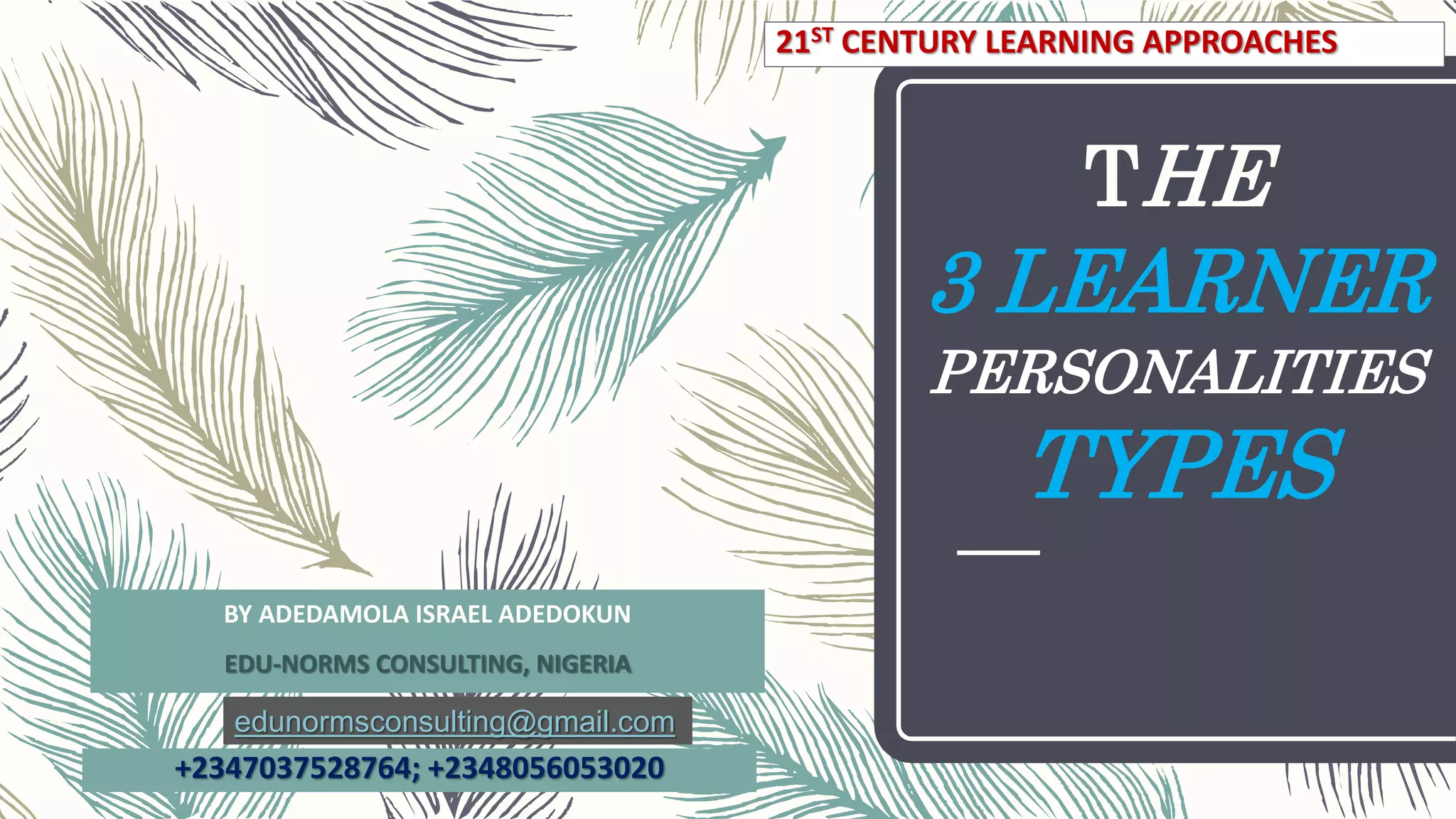 1. THE 3 LEARNER PERSONALITY TYPES | PPTX