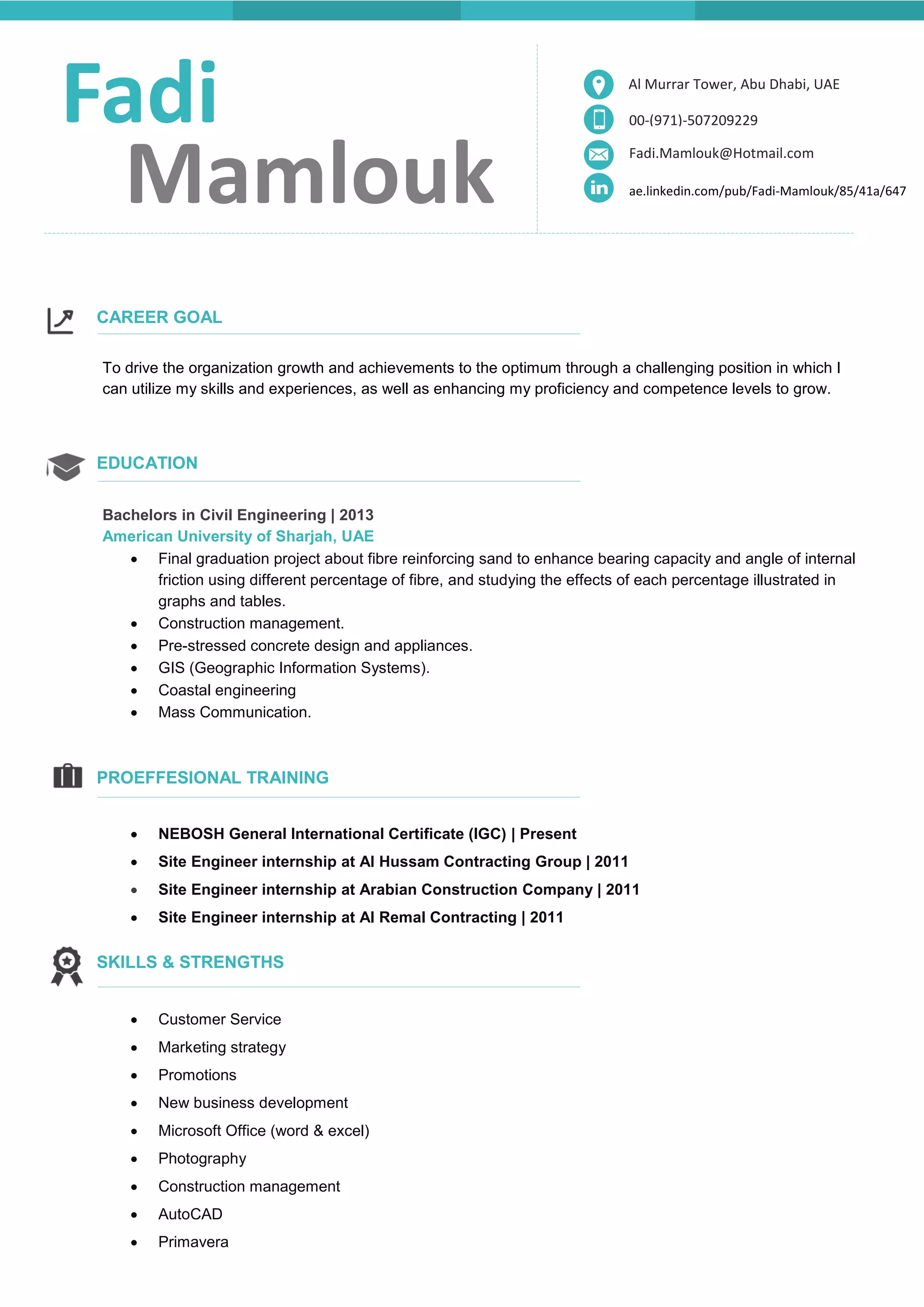 Fadis' Professional CV Modified | PDF