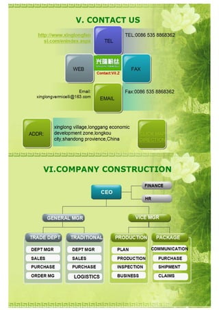longkou vermicelli --xinglong | PDF