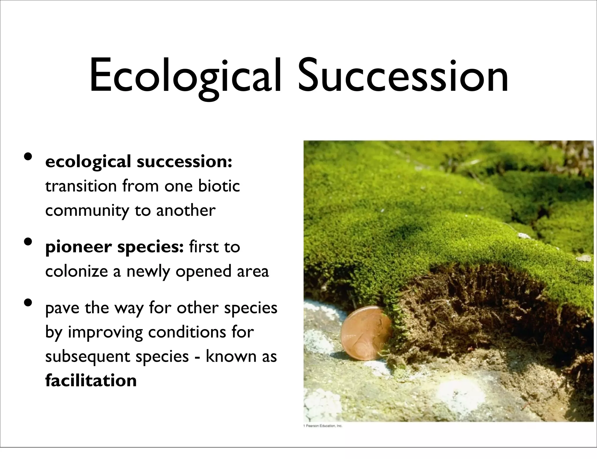 U3.4 Ecological succession | PDF | Biological Sciences | Science