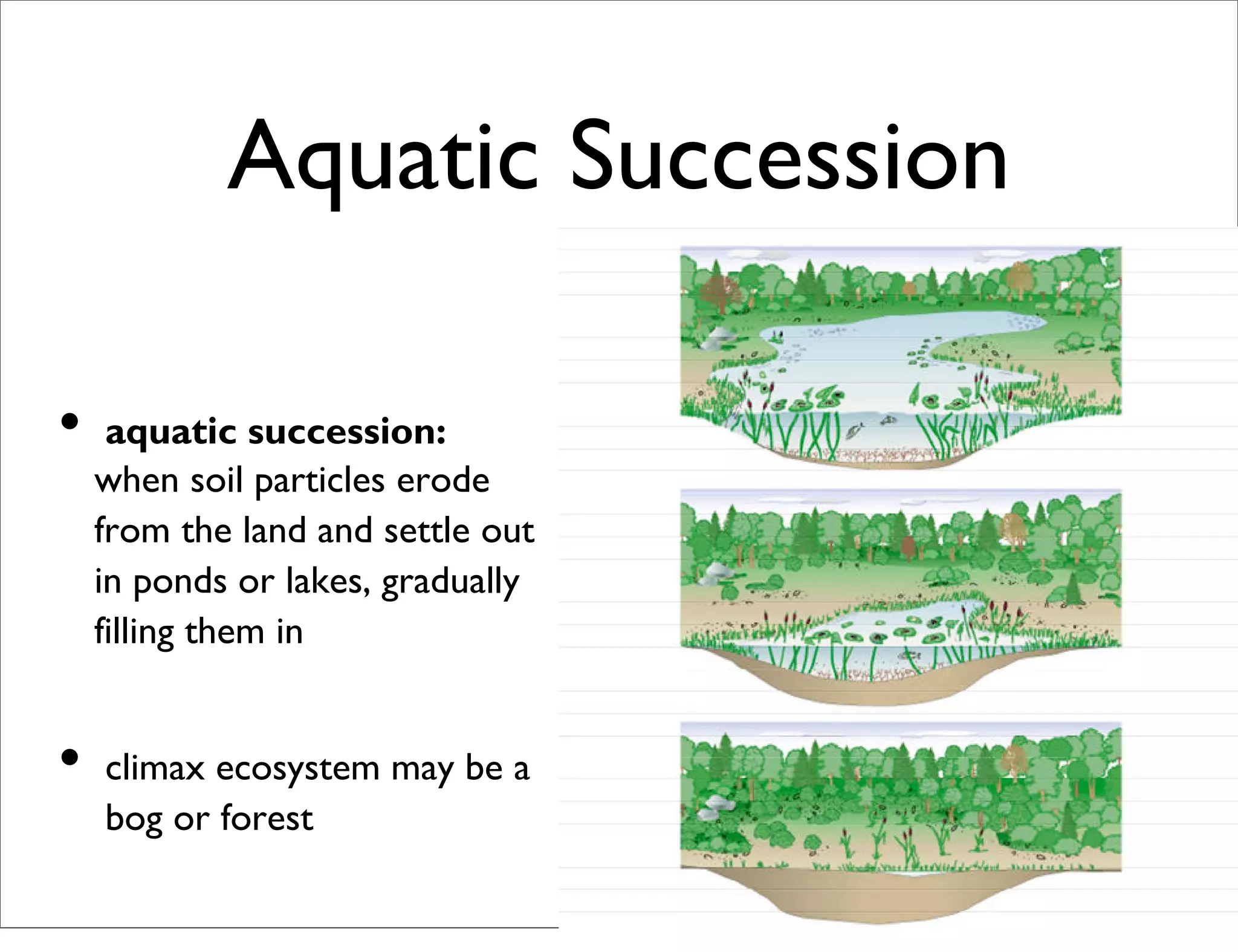 U3.4 Ecological succession | PPT
