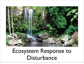 U3.4 Ecological succession | PDF | Biological Sciences | Science