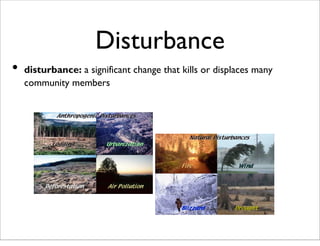 U3.4 Ecological succession | PDF | Biological Sciences | Science