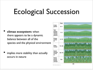 U3.4 Ecological succession | PDF | Biological Sciences | Science