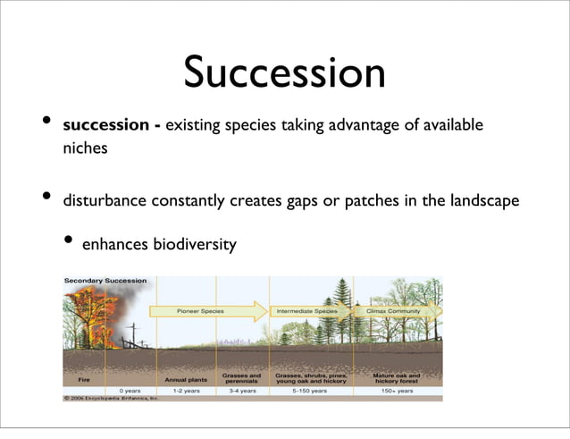 U3.4 Ecological succession | PPT