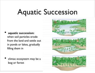 U3.4 Ecological succession | PDF | Biological Sciences | Science