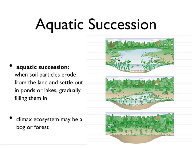 U3.4 Ecological succession | PDF | Biological Sciences | Science