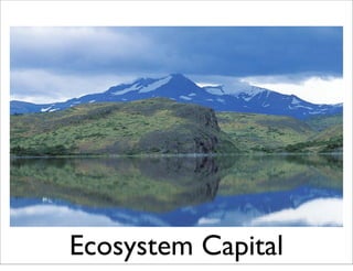 U3.2 Ecosystem capital | PPT
